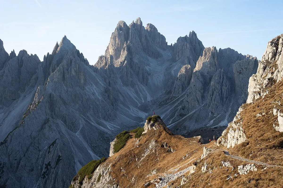 SamAlive 官方调色滤镜，PS / LR 调色预设下载📸